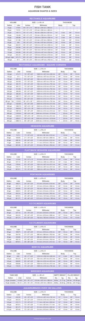 Fish Tank Sizes (Charts & Tables) - Home Stratosphere