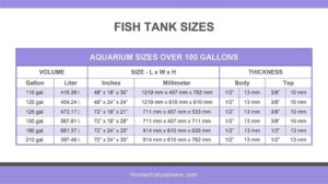 Fish Tank Sizes (Charts & Tables) – Home Stratosphere