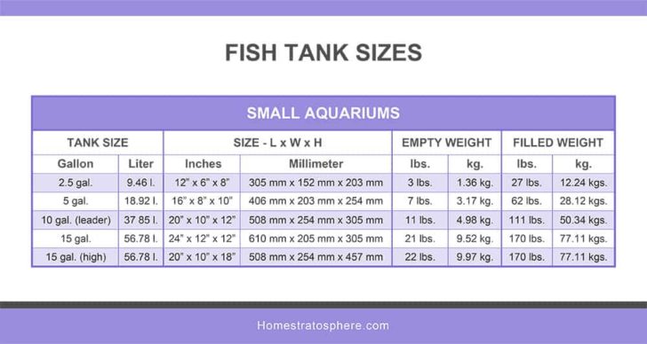Fish Tank Sizes (Charts & Tables) - Home Stratosphere