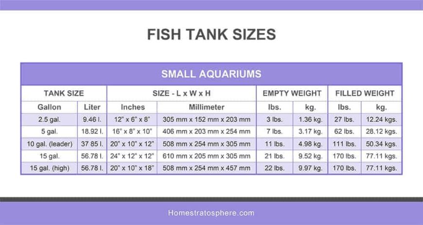 Fish Tank Sizes (Charts & Tables) – Home Stratosphere