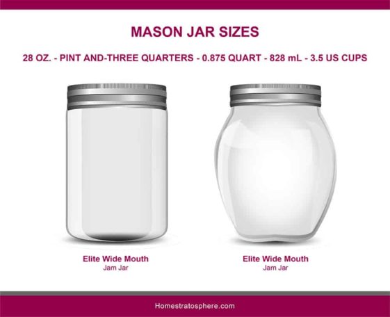 Mason Jar Sizes (Illustrated Guide)