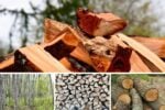 8 Different Types of Alder Wood – Home Stratosphere