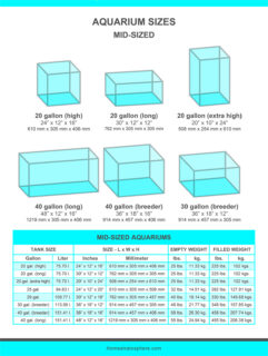 Fish Tank Sizes (Charts & Tables) – Home Stratosphere