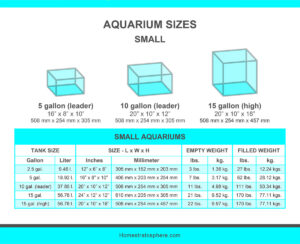 Fish Tank Sizes (Charts & Tables) – Home Stratosphere