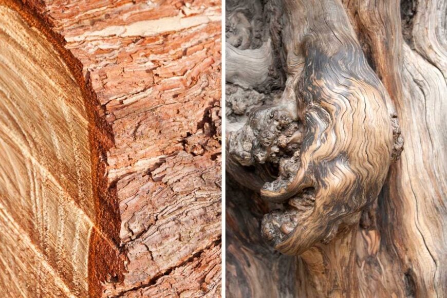 Oak vs Maple Wood (Which is Better for Furniture, Flooring, and Cabinets?)