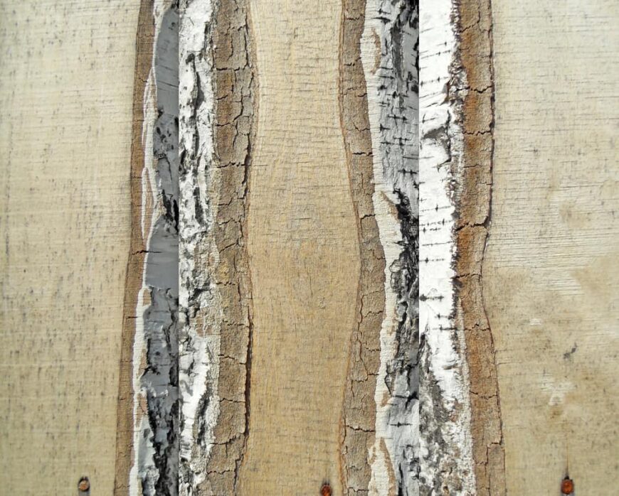 Poplar vs Birch Wood (for Furniture, Flooring, and Cabinets) – Home ...