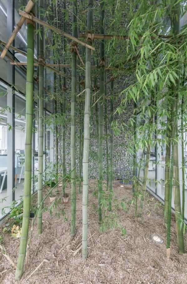 Bamboo Tower by UNSANGDONG Architects Cooperation – Home Stratosphere