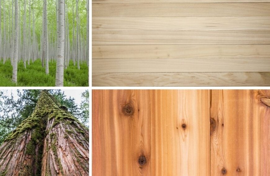 8 Different Types of Alder Wood