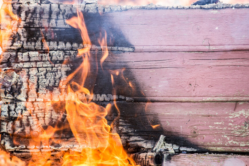 9 Different Types of Firewood – Home Stratosphere