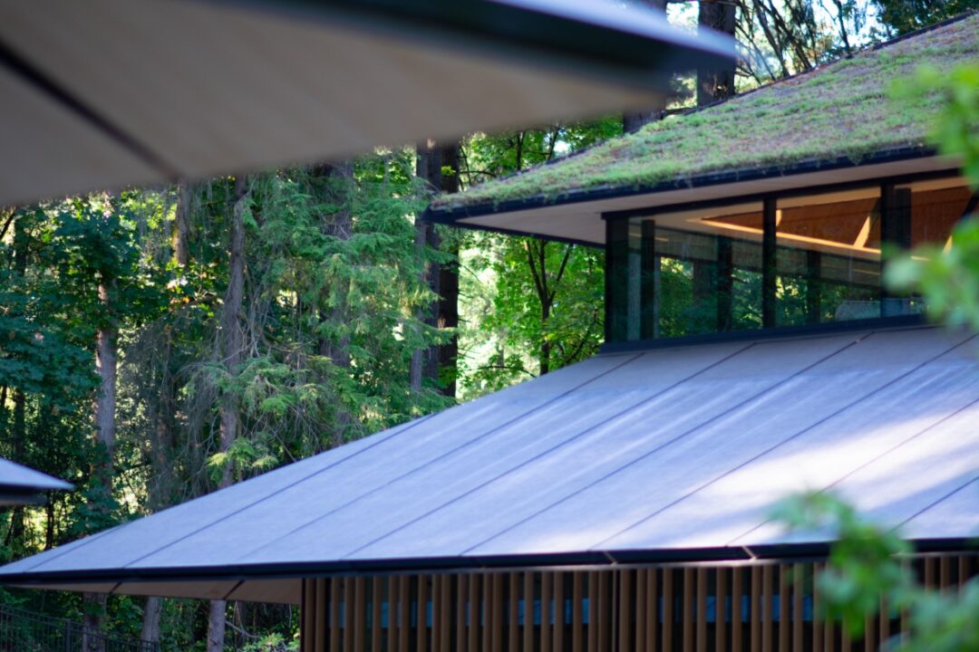 The incredible buildings of Japanese Architect Kengo Kuma.