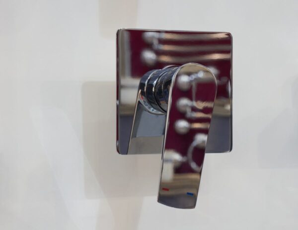 14 Different Types of Shower Diverters to Control the Flow – Home ...