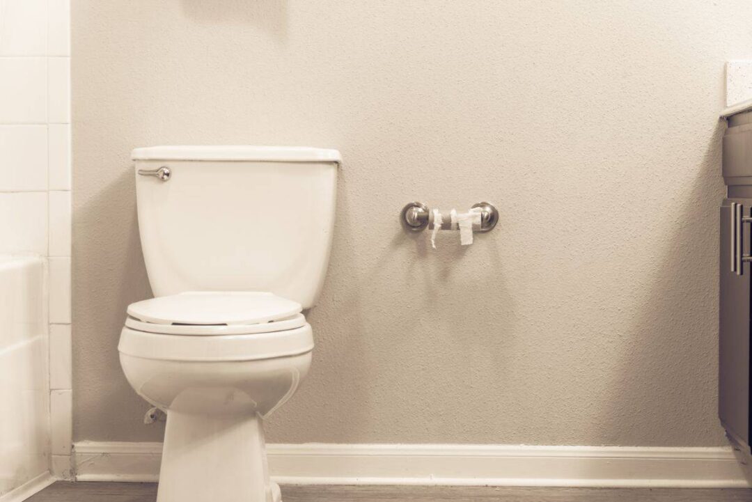 25 Toilet Types & Options for Your Bathroom (Extensive Buying Guide)