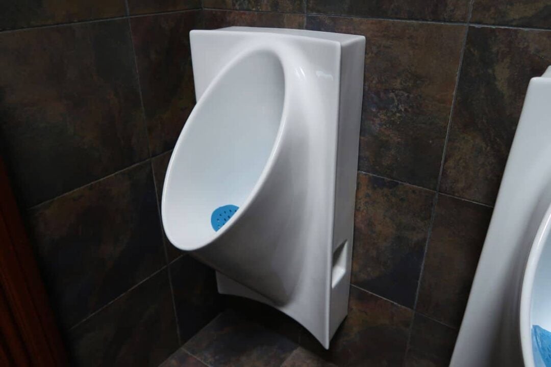 25 Toilet Types & Options for Your Bathroom (Extensive Buying Guide)