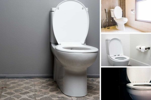 25 Toilet Types & Options for Your Bathroom (Extensive Buying Guide)