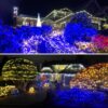 25 Over-the-Top Christmas Light Displays from Across America – Home ...