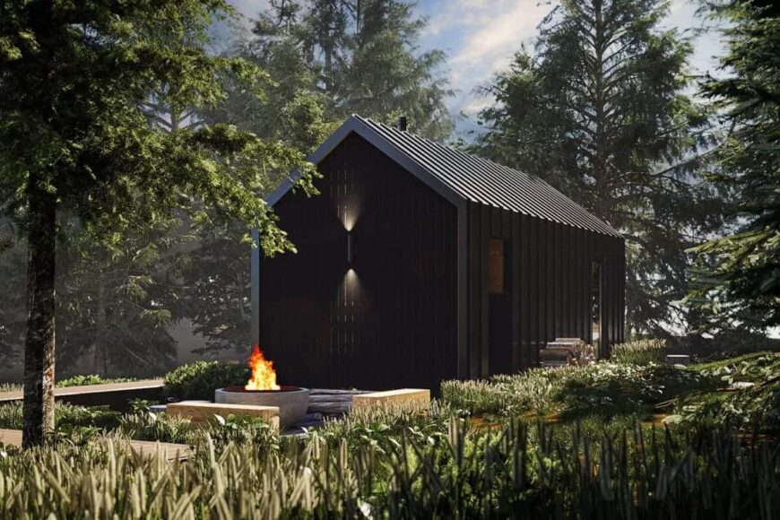Tiny 1-Bedroom Single-Story Contemporary Cabin with Open Concept Design ...