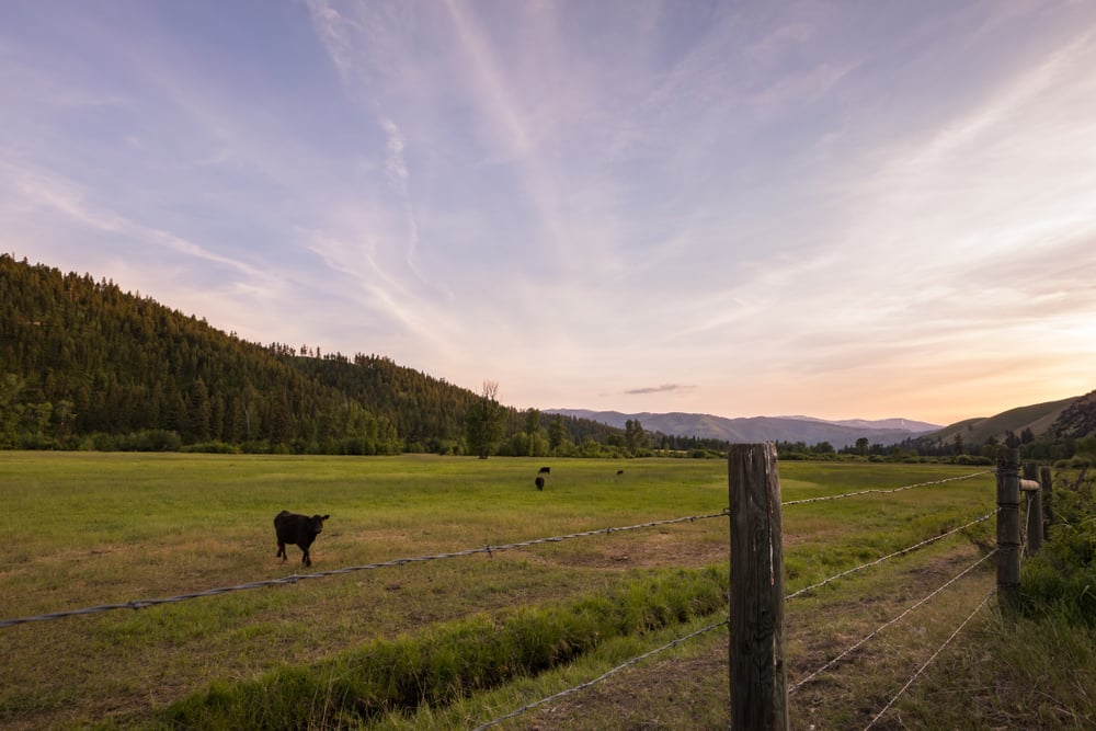 10 Secluded Towns in the Bitterroot Valley in Montana Make Great ...