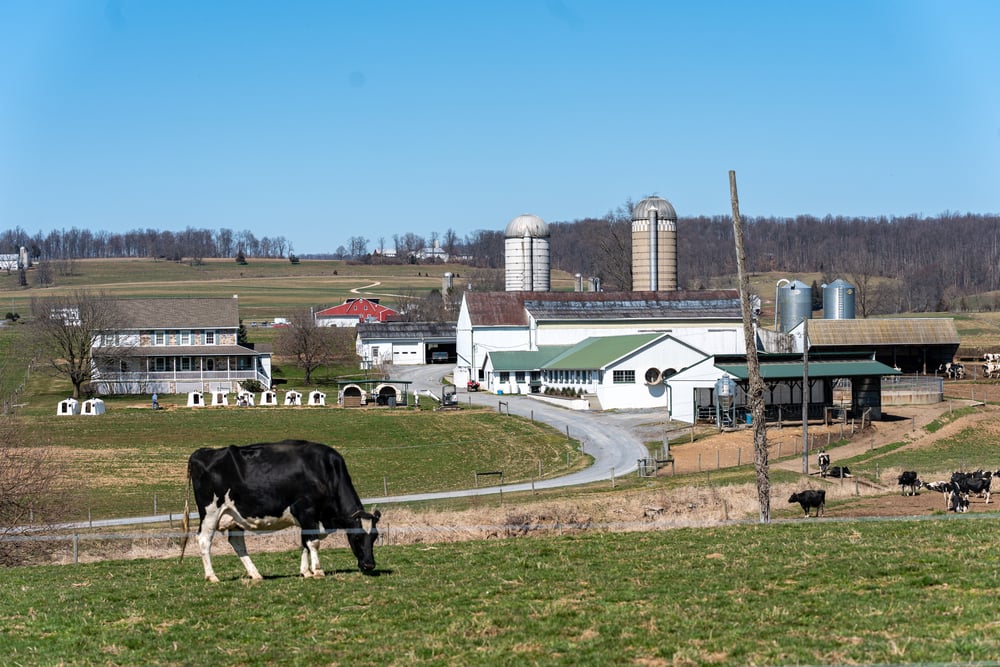 17 Fascinating Amish Towns in Pennsylvania – Home Stratosphere