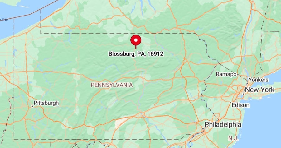22 Mushroom-Hunting Towns in Pennsylvania Steeped in the Foraging ...