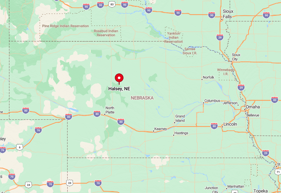 10 Secluded Towns Find Shelter in Nebraska’s Bessey National Forest ...