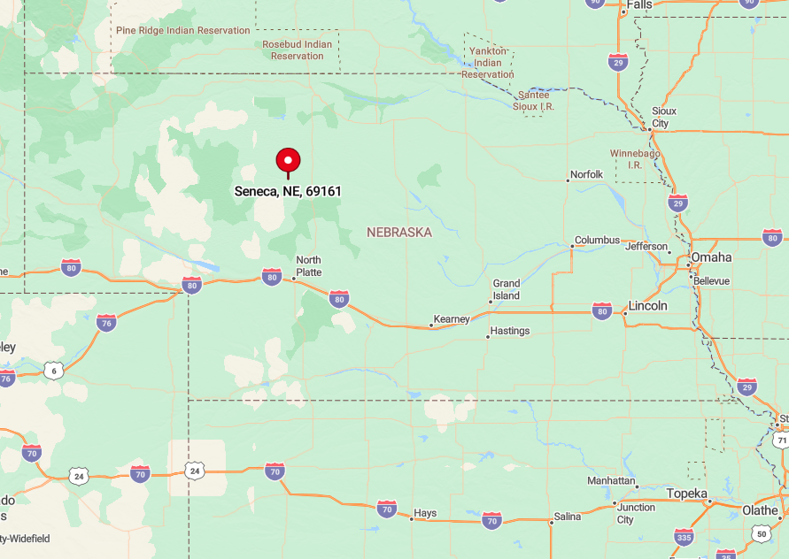 10 Secluded Towns Find Shelter in Nebraska’s Bessey National Forest ...