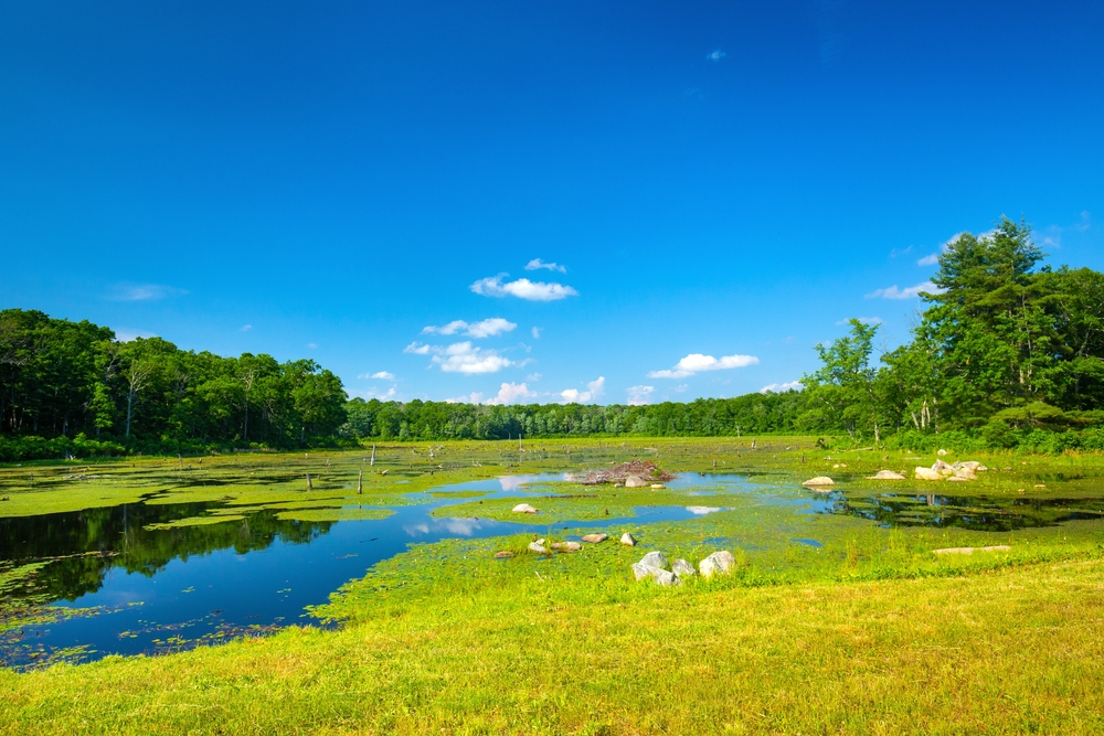 Discover 25 Secluded Towns Tucked Away in Northern Connecticut – Home ...