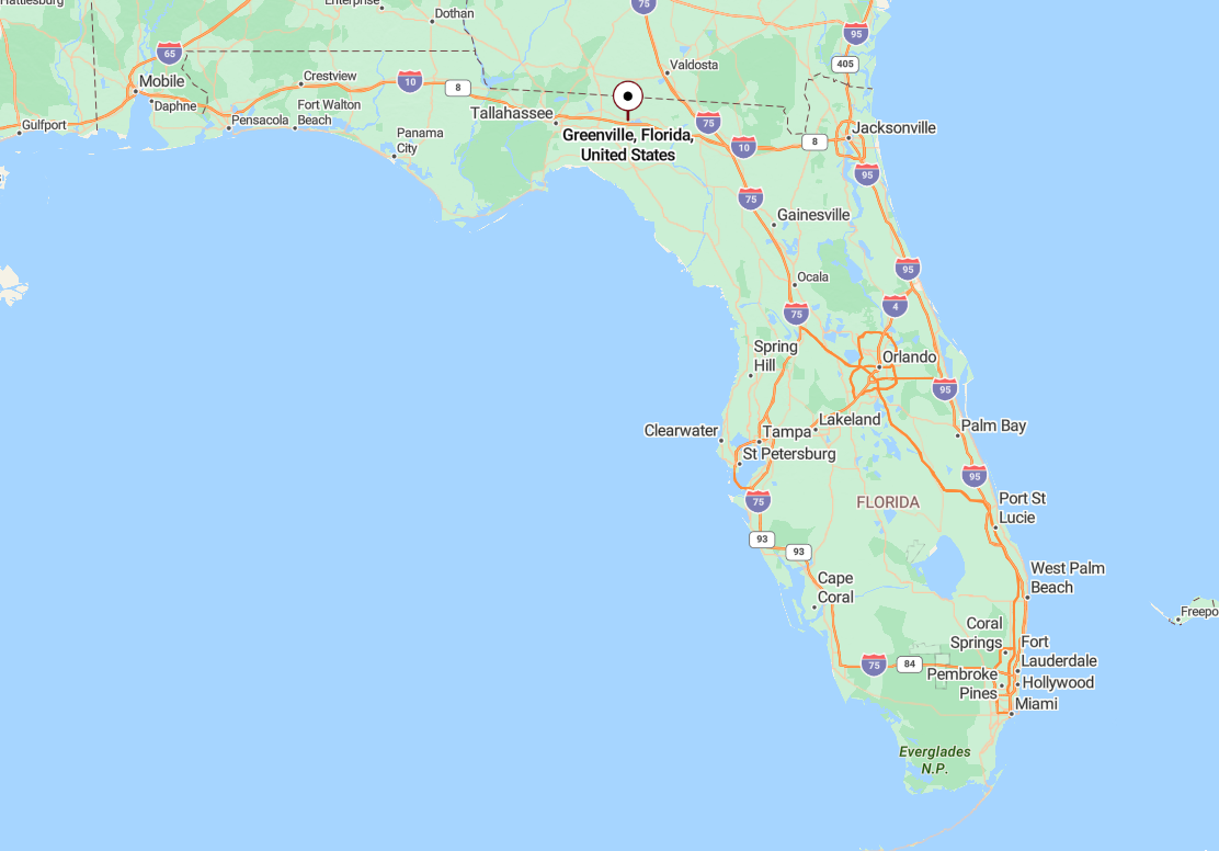 25 Secluded Towns Set in Quiet Pockets of Northern Florida