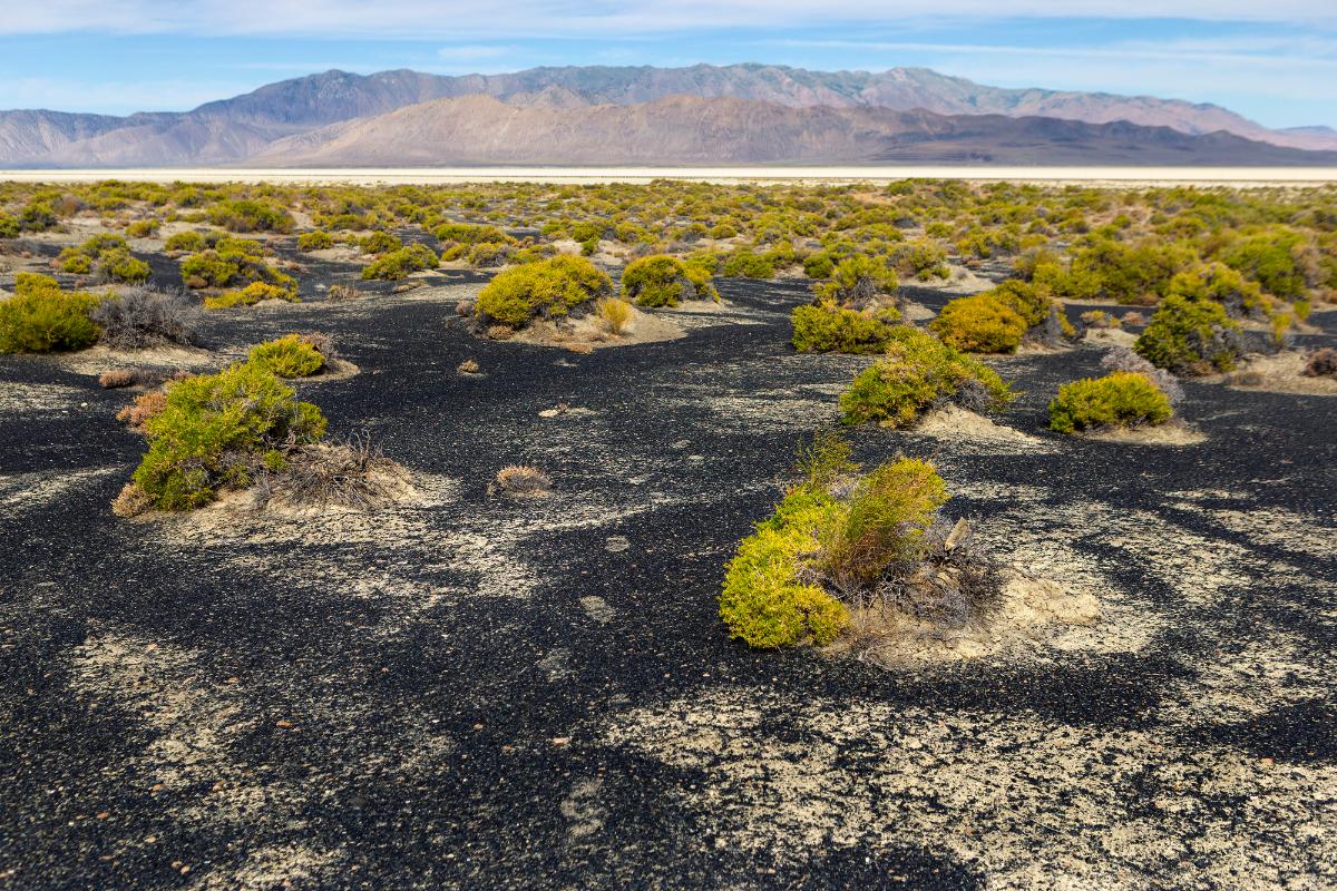 25 Secluded Towns Set in the Remote Desert Terrain of Northwest Nevada ...