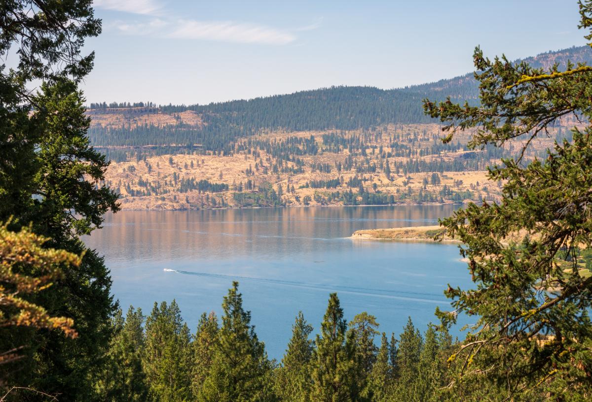 Mapping 25 Secluded Lakeside Towns Sheltered in the Quiet Coves of ...