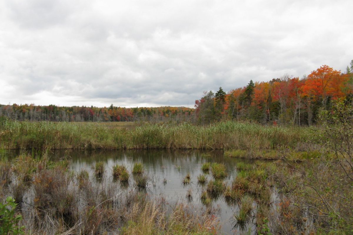 Discover 25 Secluded Towns That Connect Western Massachusetts With Its ...