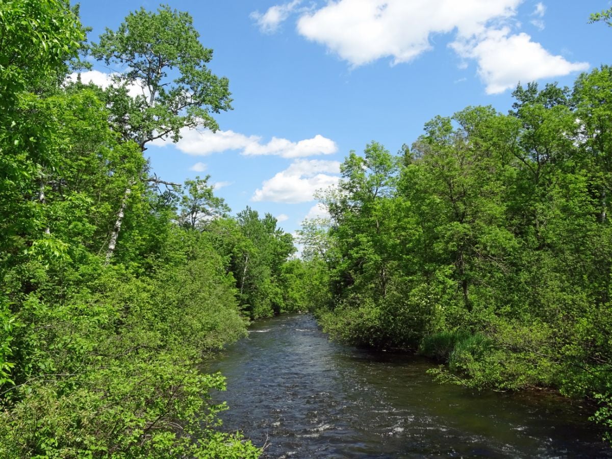 Journey Through 25 Secluded Towns in Northern Wisconsin That Keep the ...
